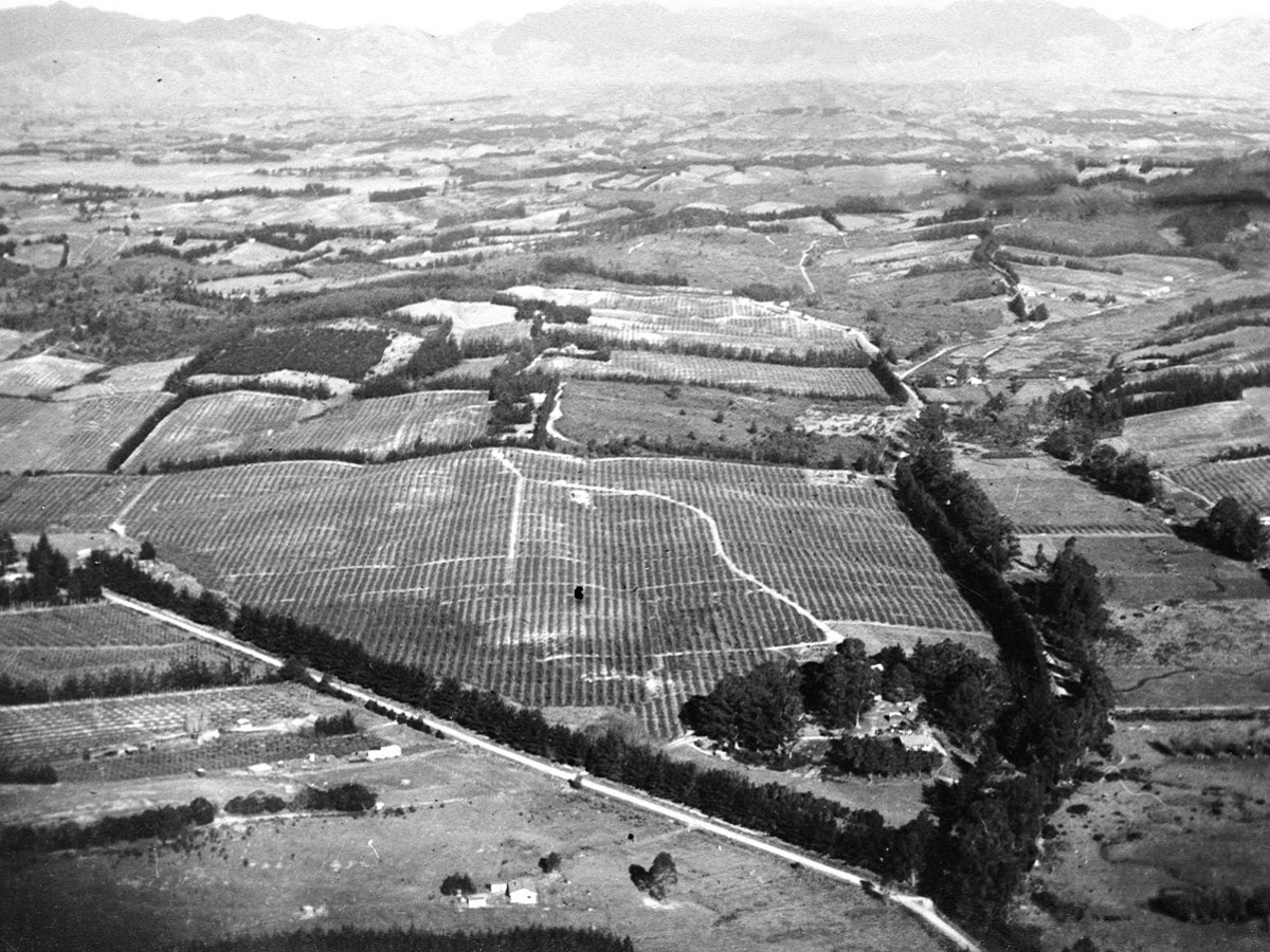 The McKee footprint: Discover his journey | The McKee Charitable Trust