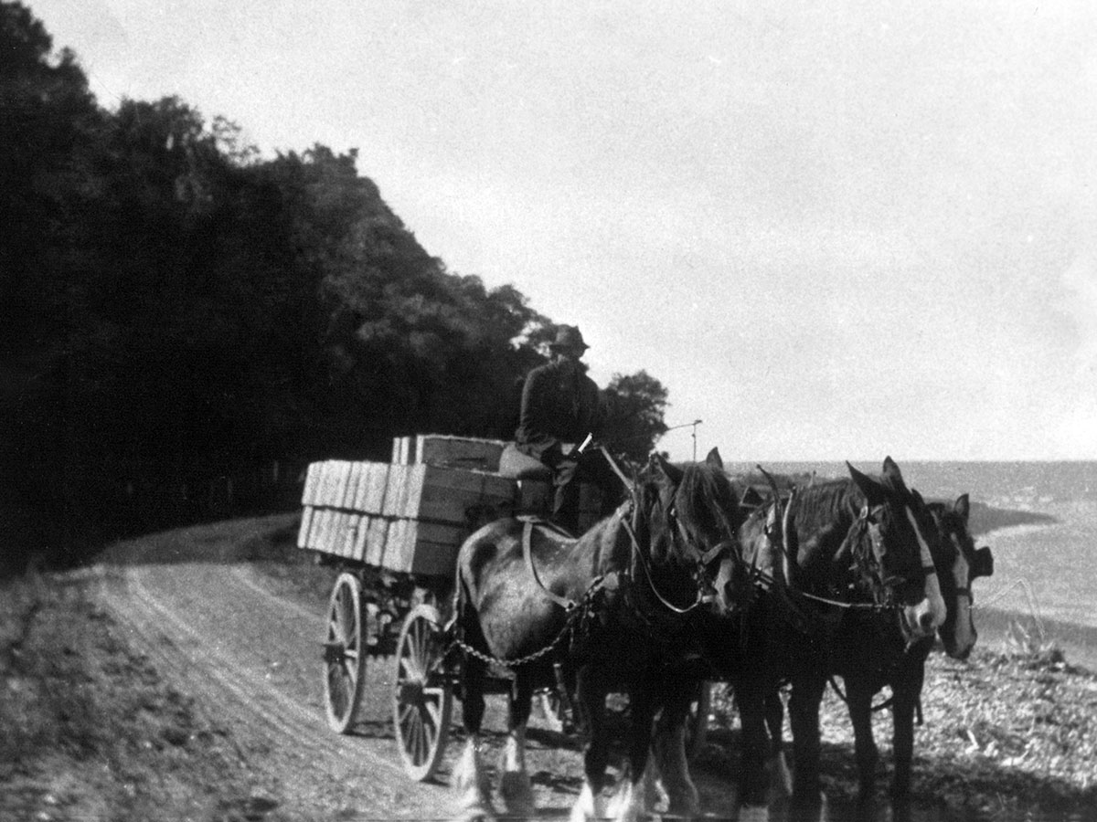 The McKee footprint: Discover his journey | The McKee Charitable Trust